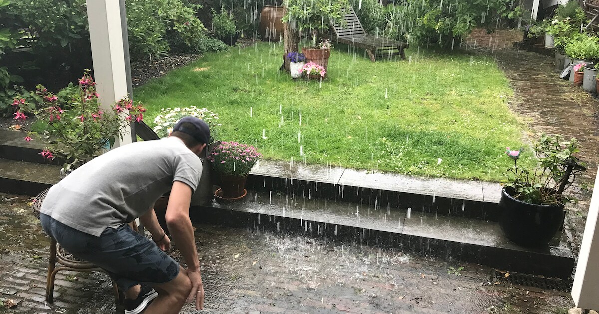 Staat je tuin blank na een flinke regenbui? Deze maatregelen helpen écht | Wonen | tubantia.nl