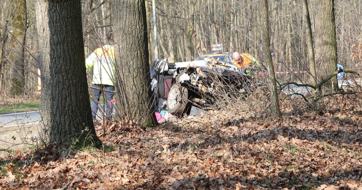 Zwarte Mazda crasht op N741 bij Delden: man (38) uit Almelo en Poolse ...