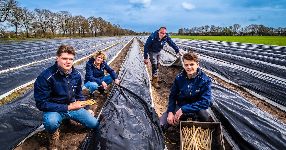 Jonge twintigers Mart en Cas vinden hun eerste witte goud in ...