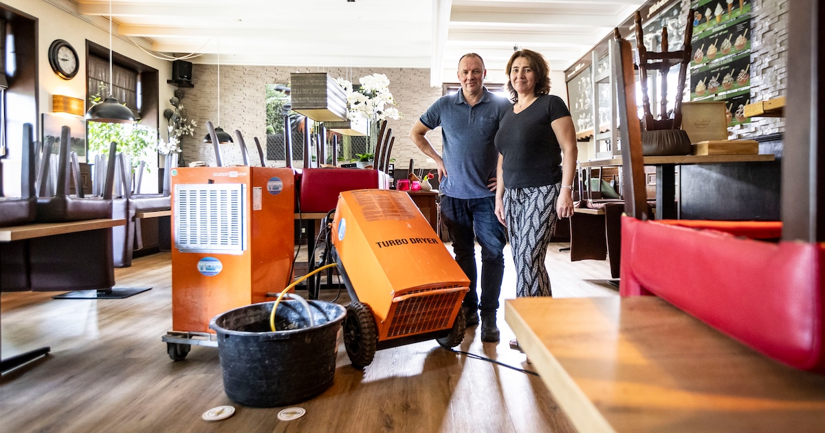 Dat zoon werd weggestuurd op Terpstra, werd redding voor Magda en ...