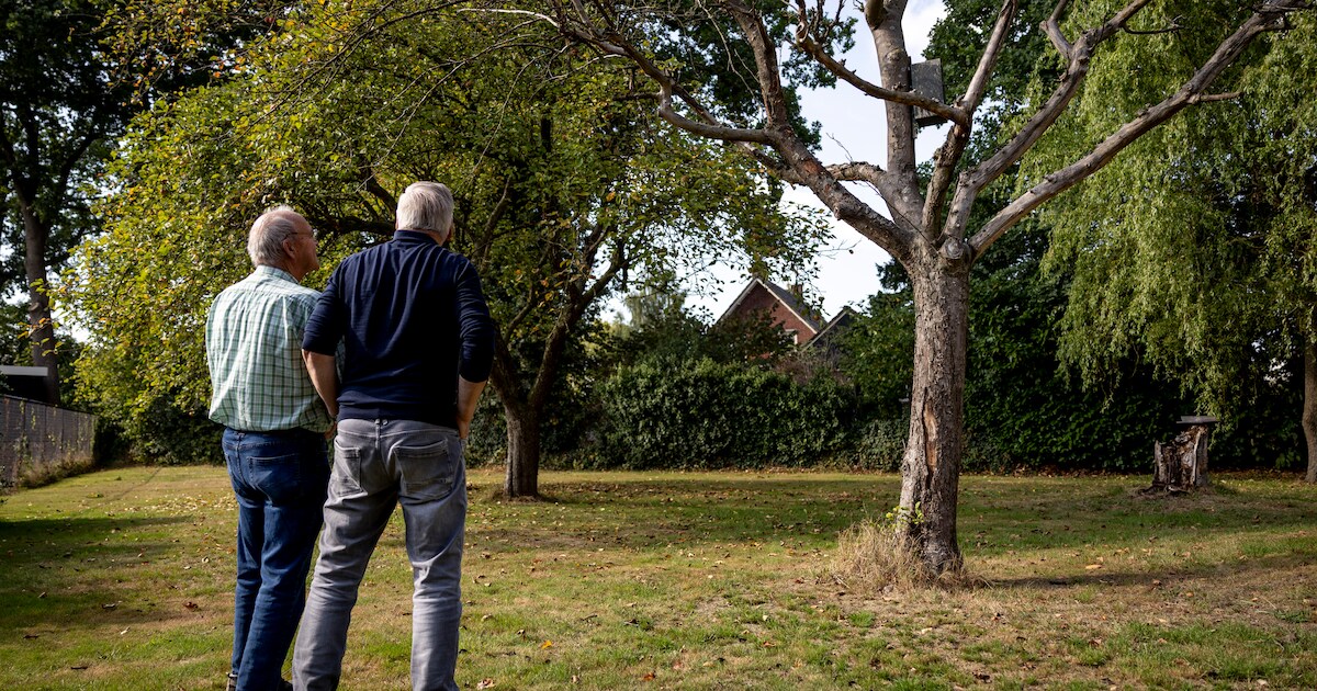 Terwijl de droogte hun tuinen opvreet, vechten Johan (80) en Gerard (72 ...