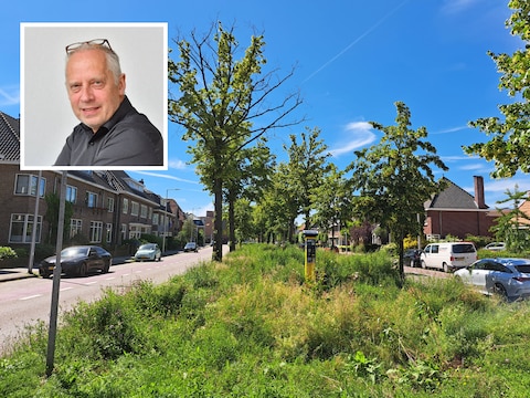 Werk te doen: bomen en berm zijn er als longen van ooit fraaie singel ...