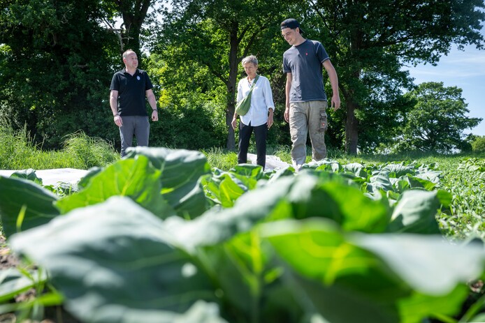 Eerste oogst van Herenboeren Oale Esch op Twickel in aantocht | Borne ...