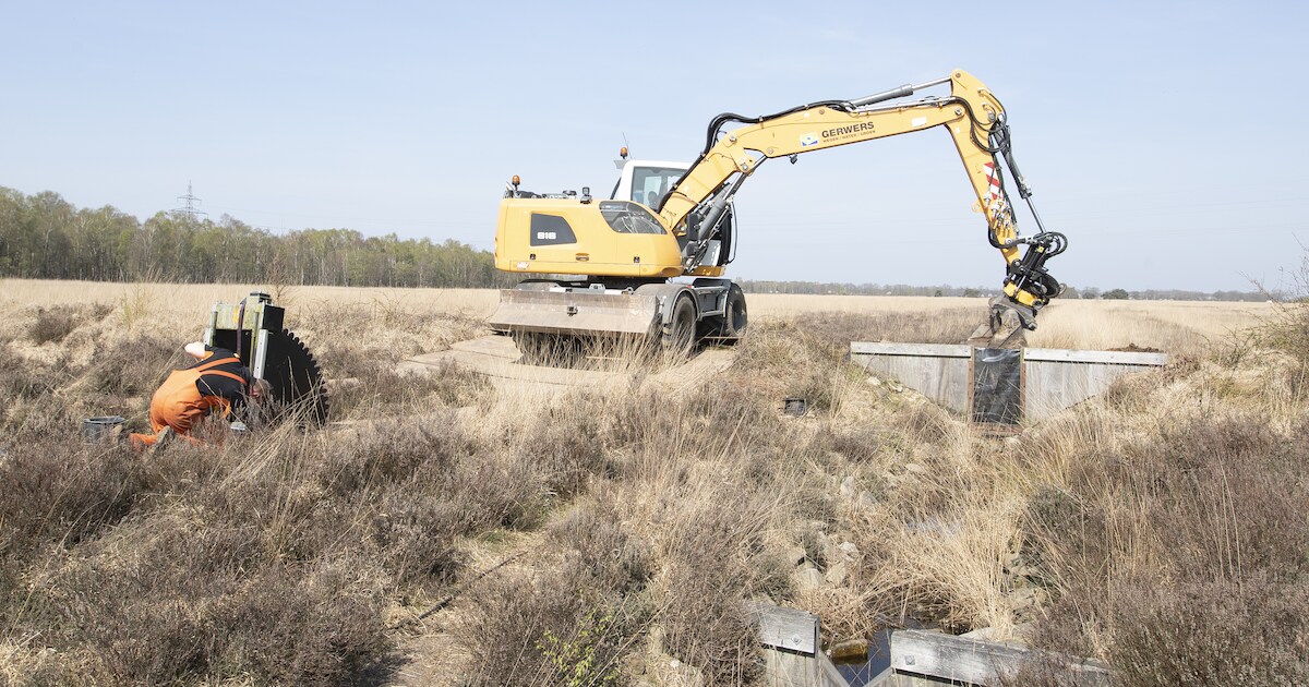 Waterhuishouding Wierdense Veld weer op orde: cruciale stuwen ...