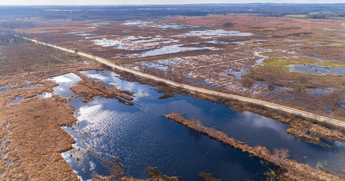 Eindelijk is het water terug op het Wierdense Veld | Wierden | Tubantia.nl