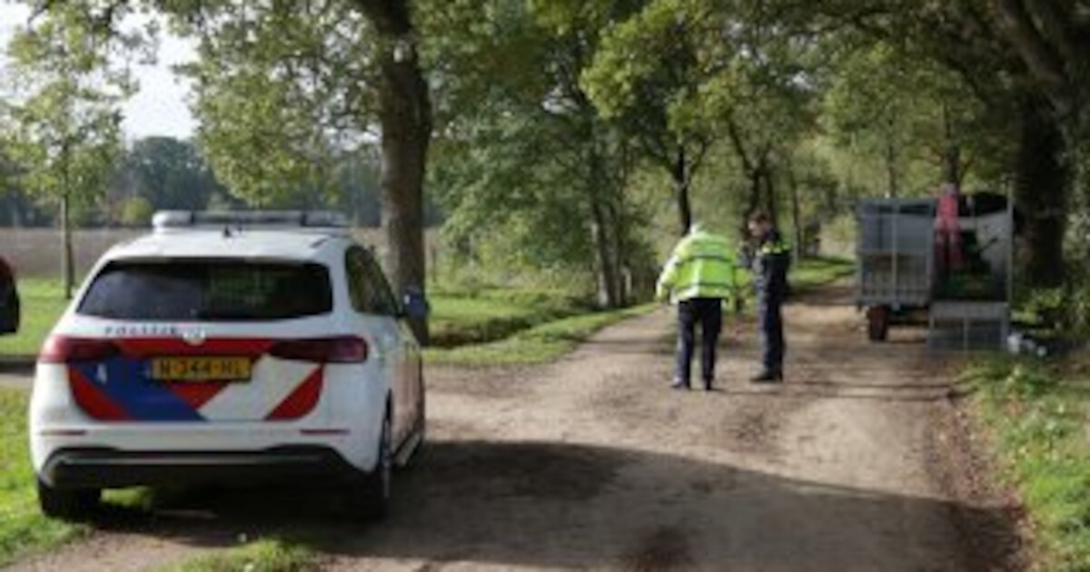 Fietser gewond na botsing met ruiter in Enter | Regio | Tubantia.nl