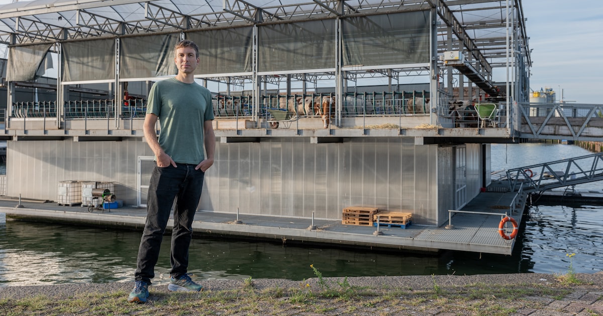 Dit is hoe de landbouw is geïndustrialiseerd: ‘De ‘oale groond’ in Twente bestaat niet meer ...