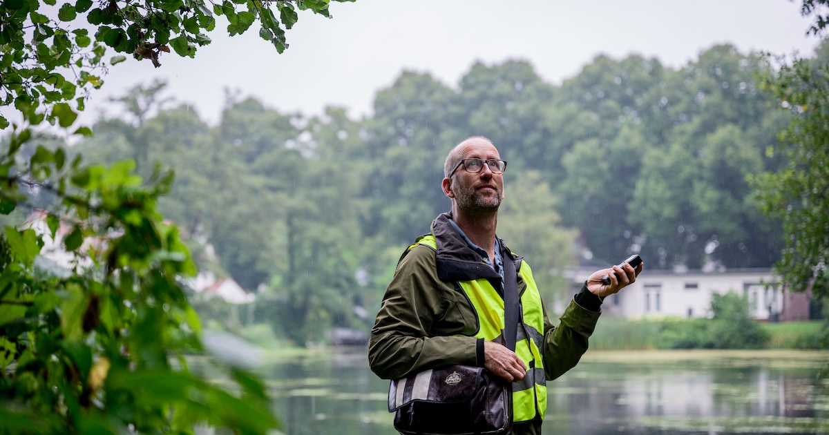 Koninks Kleigat is vleermuizenparadijs: diertje heeft bescherming nodig ...
