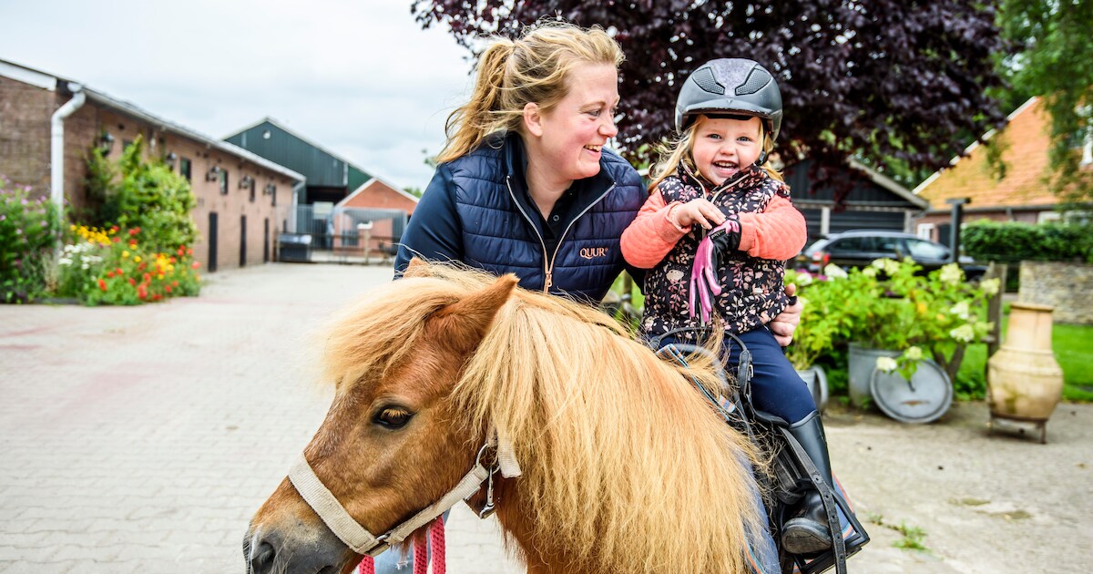 TikTok-hit: hoe Jula (2) uit Haaksbergen de show steelt op shetlander Ollie | Haaksbergen ...