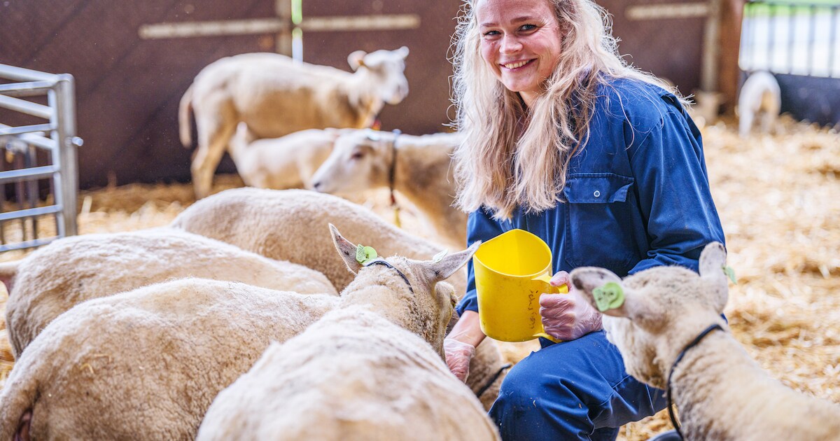 De verlossende prik: massale hulp voor grootschalige vaccinatiecampagne ...