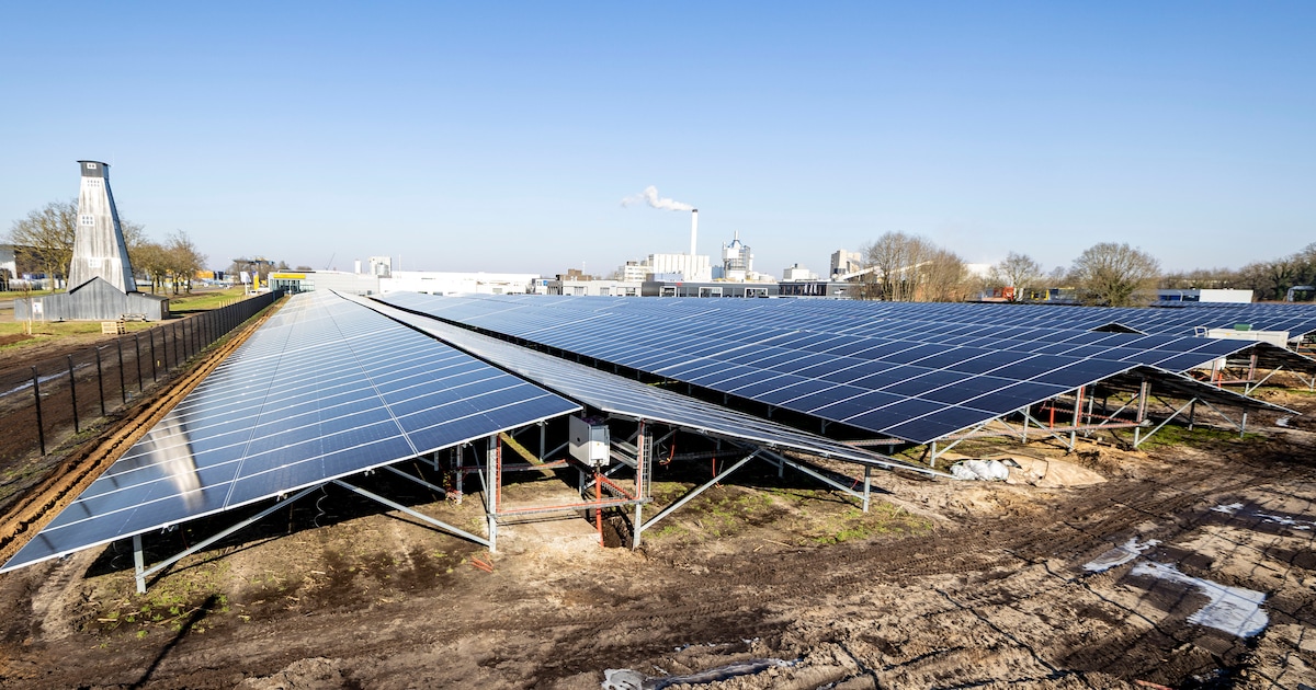 Dit enorme zonneveld in Hengelo levert al over paar weken de eerste ...
