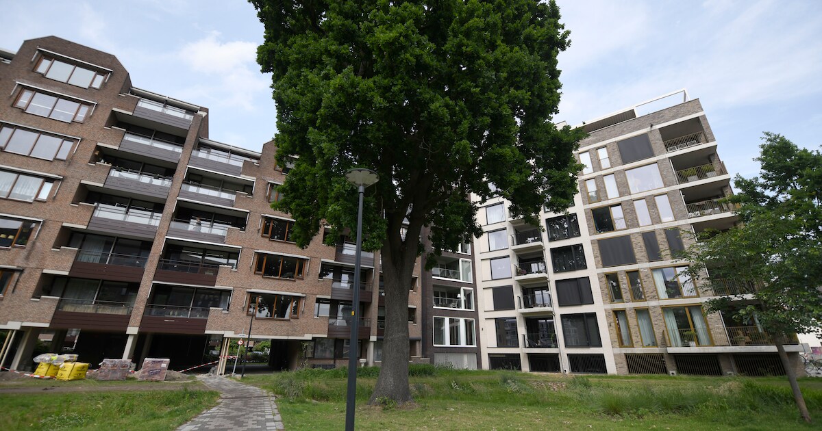 Overlast appartementencomplex loopt spuigaten uit: ‘Toen het ook nog ...