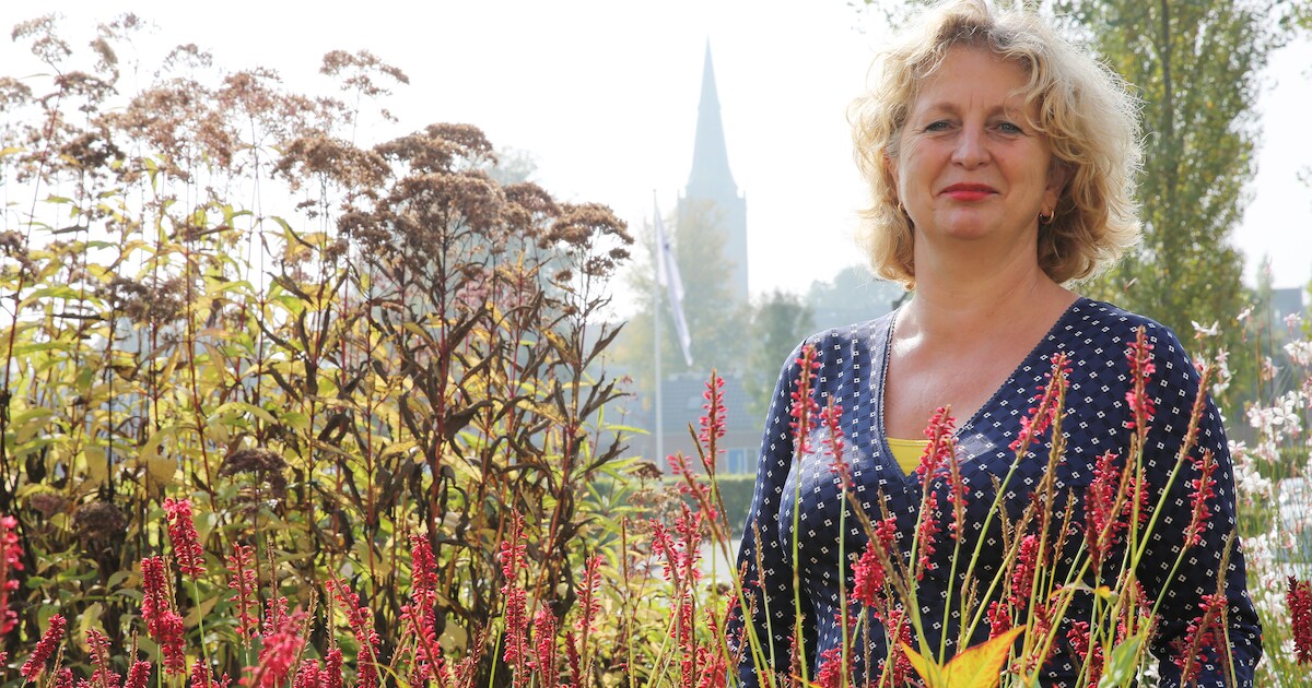 D66 zwijgt in alle talen over ruzie in Borne: ‘Hoe minder we hierover ...