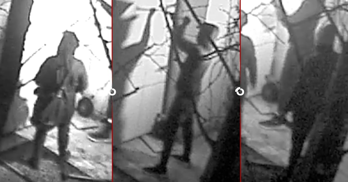 Politie: ‘Ten minste drie daders van kunstroof Drents Museum afkomstig ...