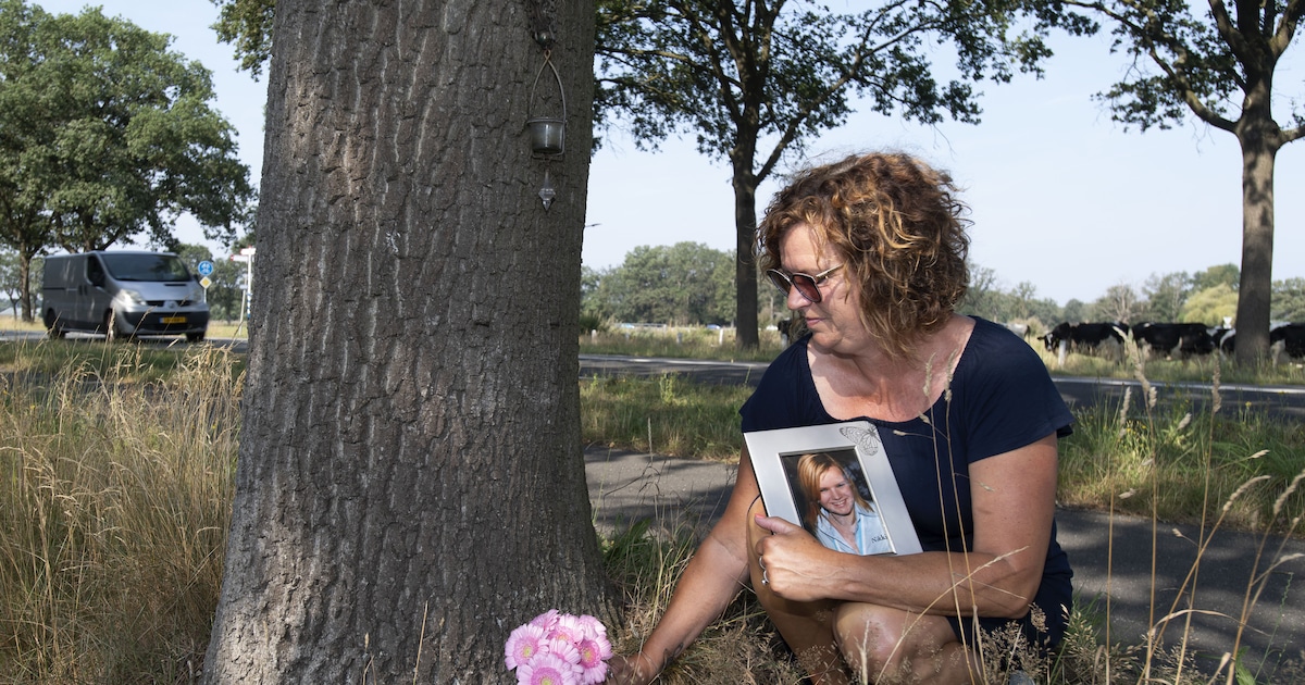 Nikki (18) verongelukte net buiten Haaksbergen: ‘Ze kijkt via de ogen ...