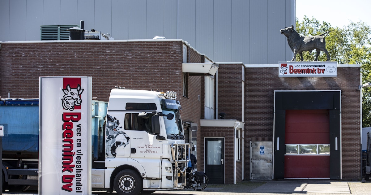 Broers Beernink uit Oldenzaal naar Raad van State: ‘Dat was de nekslag ...
