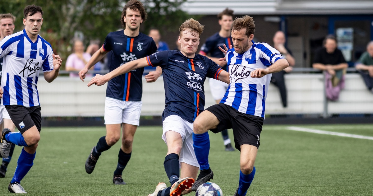 Wesley van Houten zet BWO op juiste spoor richting handhaving ...