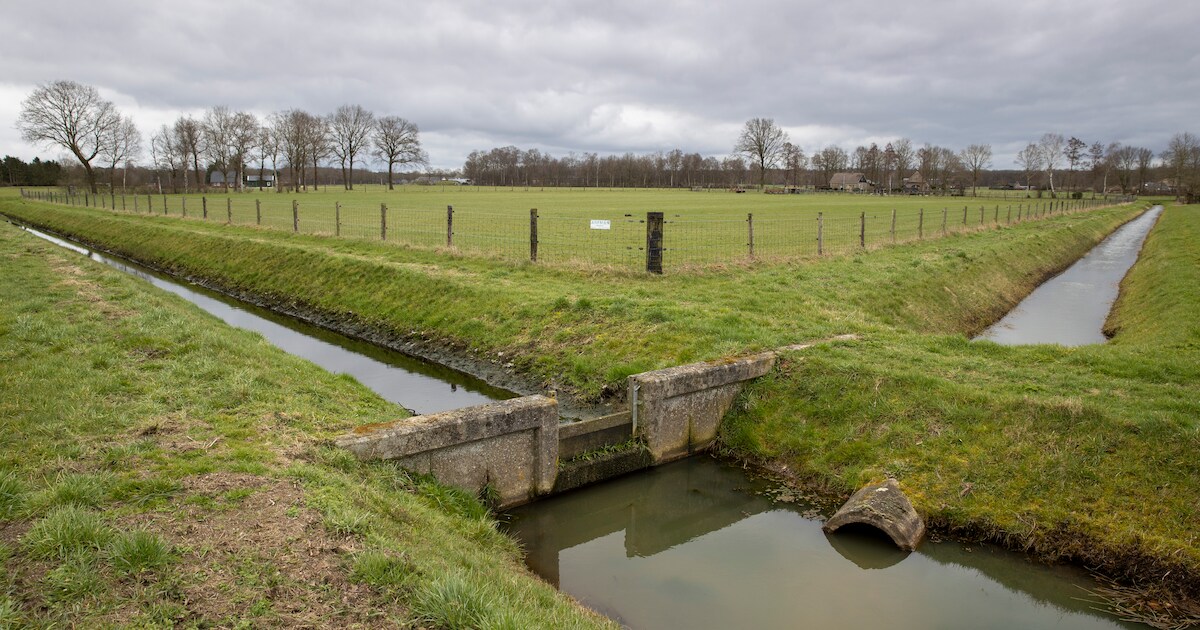 Sloten in Twente nu nog behoorlijk vol, maar kans op verdroging in de ...