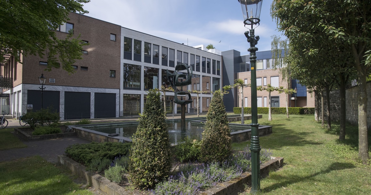 Aan deze eigenschappen moet de nieuwe burgemeester van Losser voldoen ...