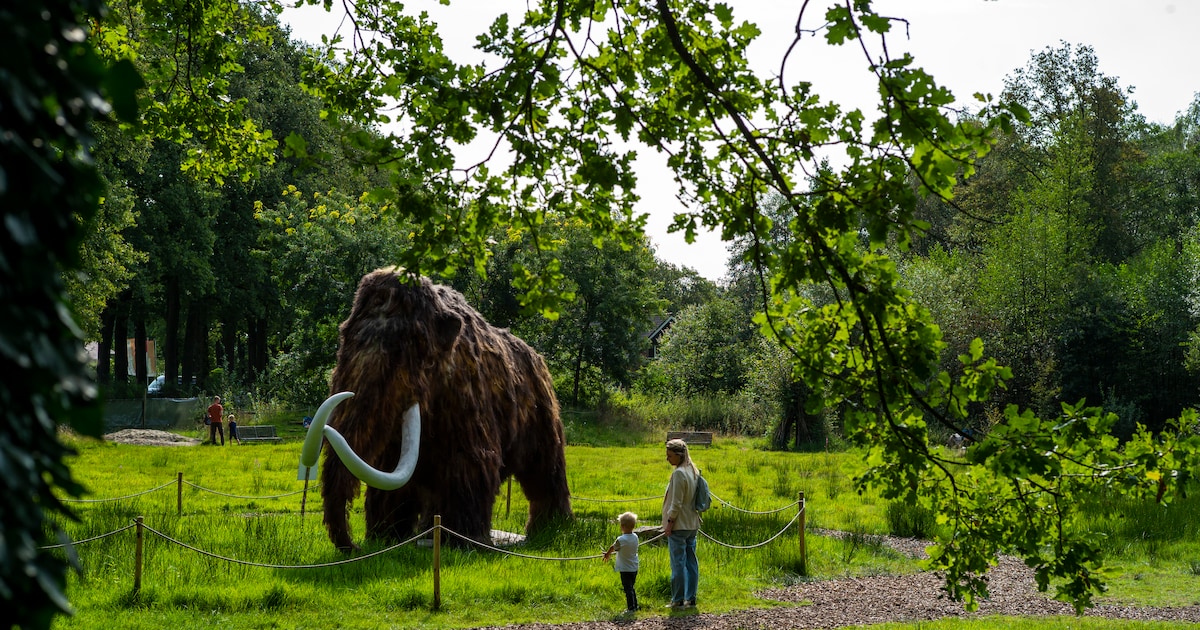 Spectaculaire expositie over de ijstijd helpt Natura Docet uit diep dal ...