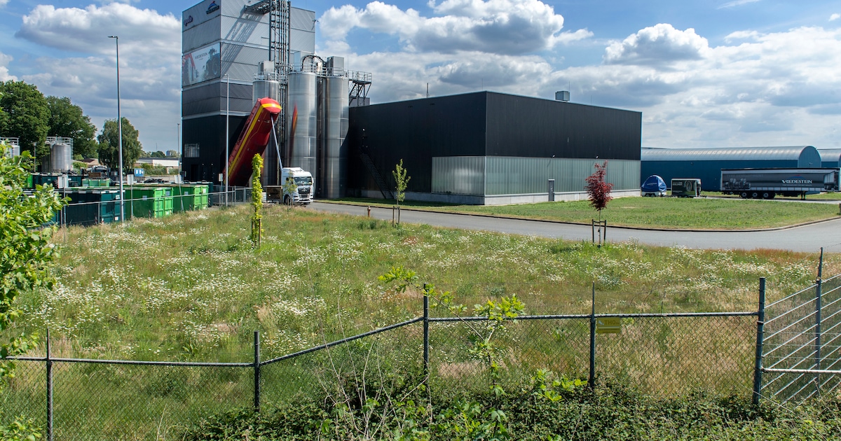Apollo Tyres haalt uit naar plan van Enschede voor Vredesteinterrein ...