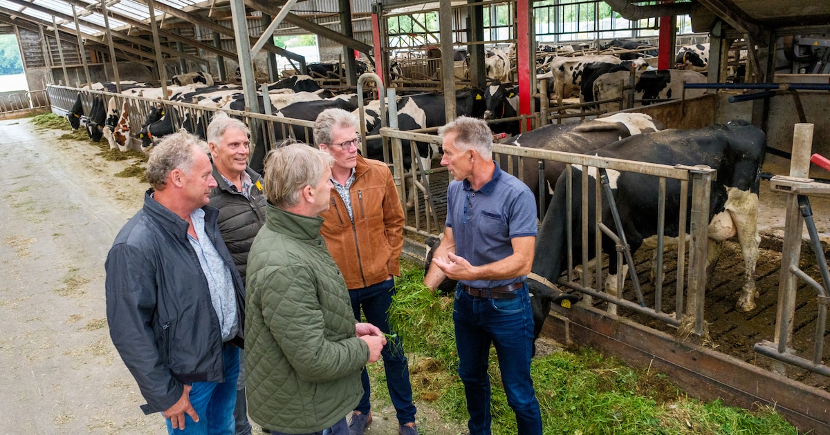 Deze Twentse boer kan 5000 euro verdienen met milieuvriendelijke ...