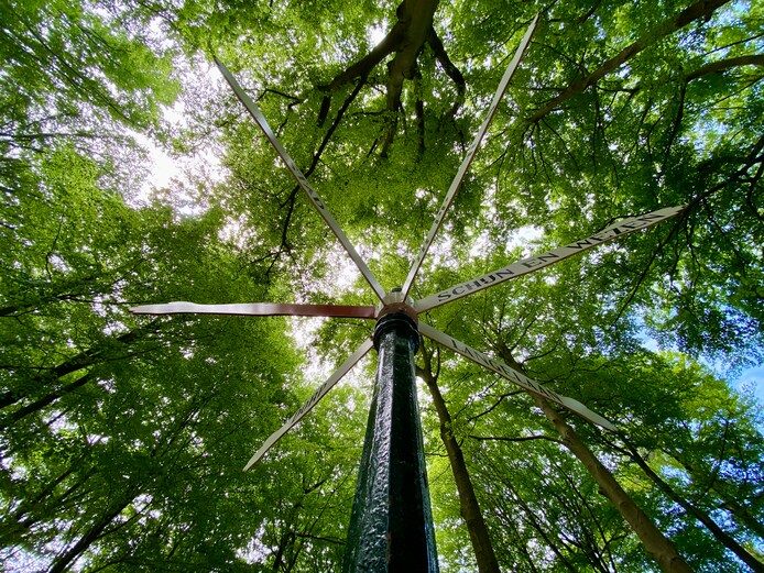 Van hotspot naar hotspot in magische bossen tussen Ruurlo en Vorden ...