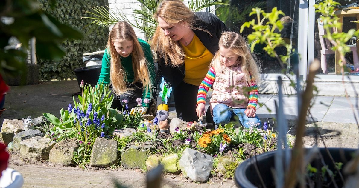 Tegels wippen voor groen in Twente: strijden voor gouden schep ...