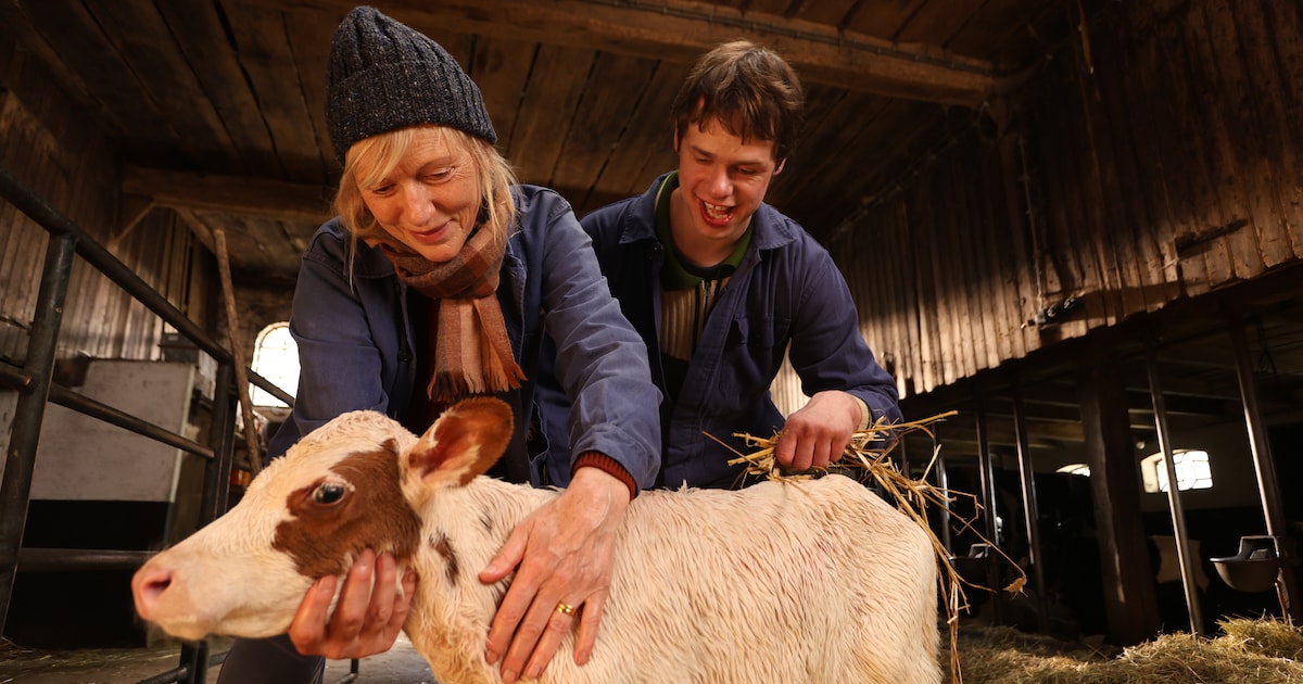 Wil jij figureren in de speelfilm ‘Hanna van Hendrik’? Producent zoekt ...