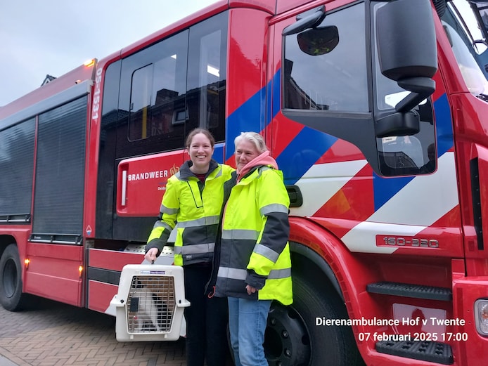 Kat reist mee in motor van auto met eindbestemming Delden: ‘Komt bij ...