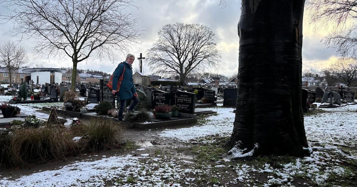 Twents gezin begint in 1950 aan nieuw leven in polder en keert vijftien ...