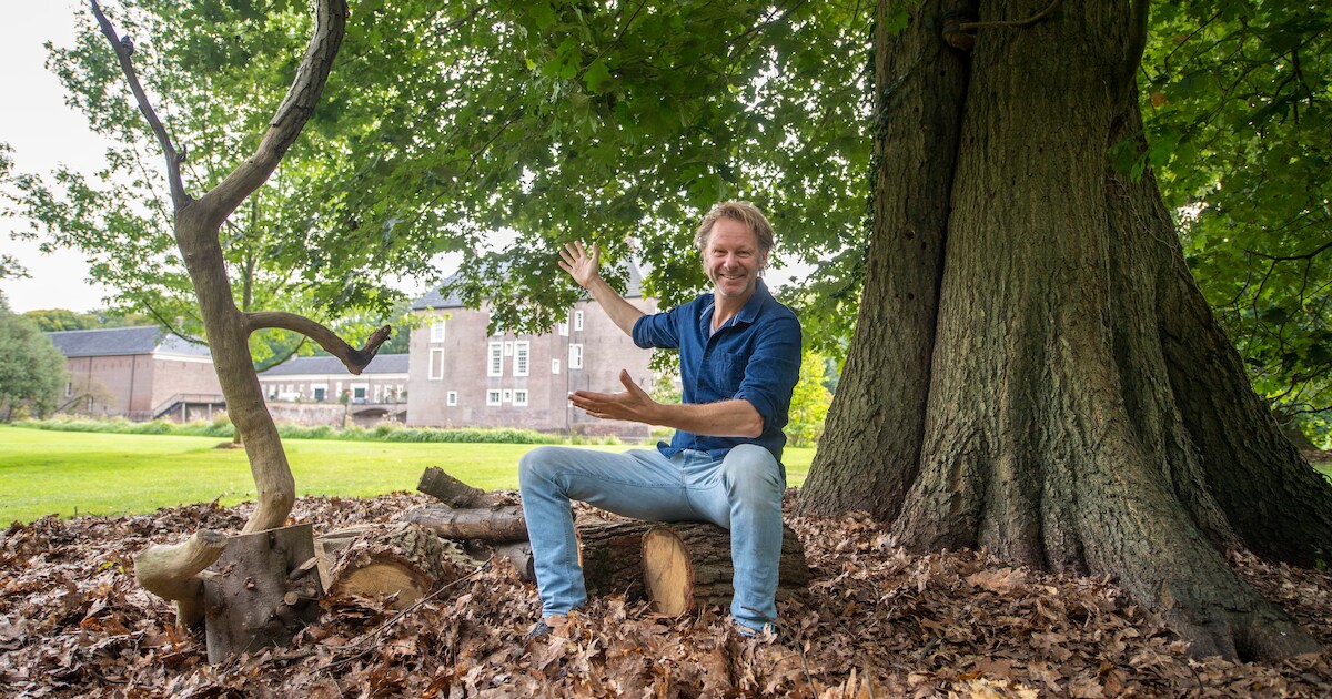 Drama in de tuin van Huize Almelo: bloedig stuk van Shakespeare zorgt ...