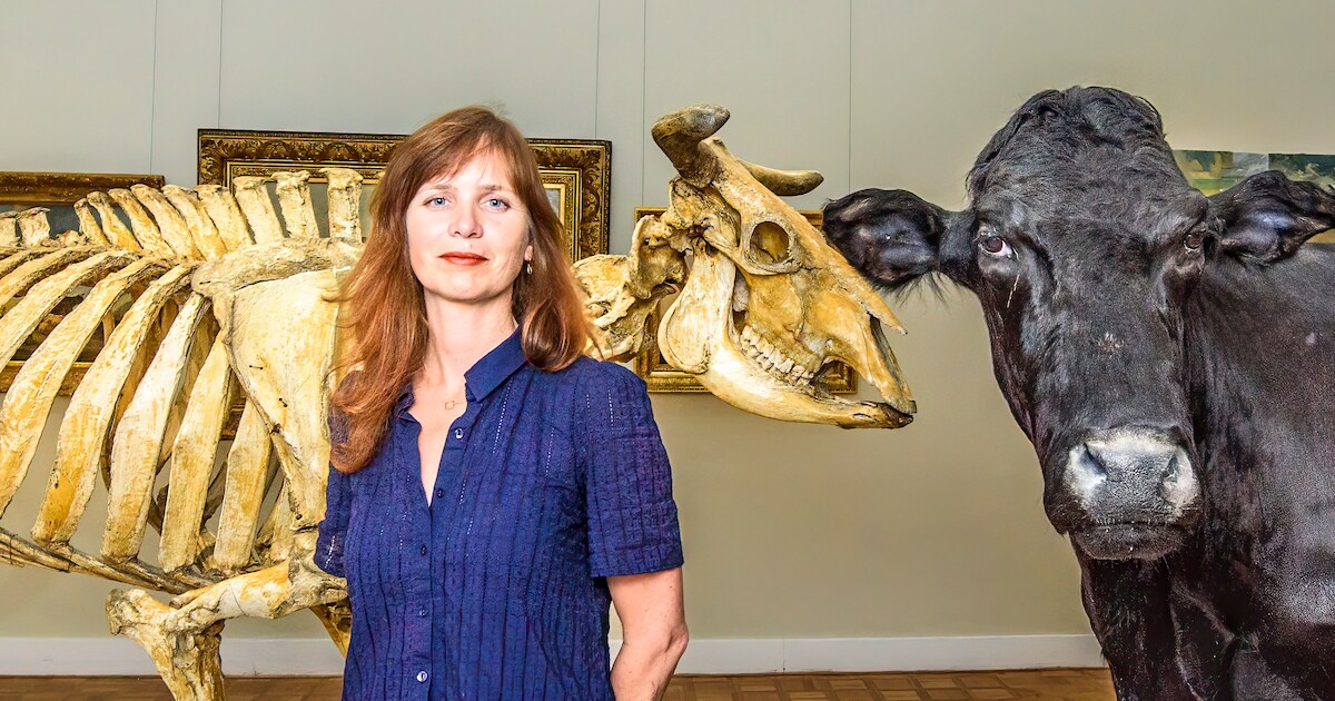 Rijksmuseum Twenthe toont de verandering van het platteland: ‘De tijd ...