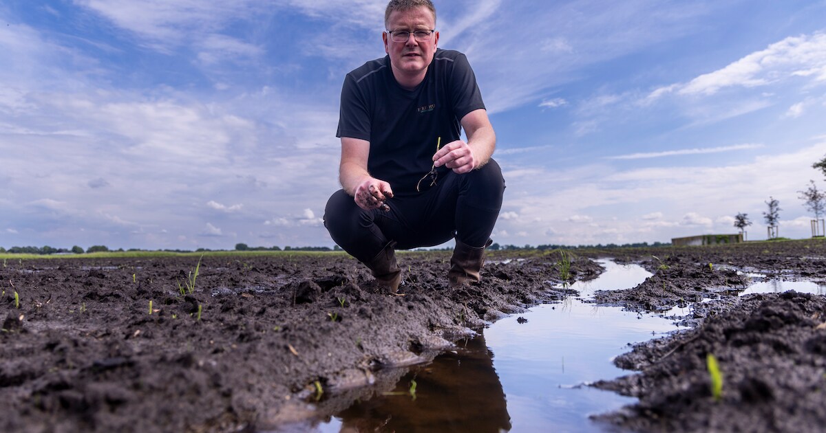 Akkers te nat voor de trekker, pootgoed te laat in de grond: zorgen om ...