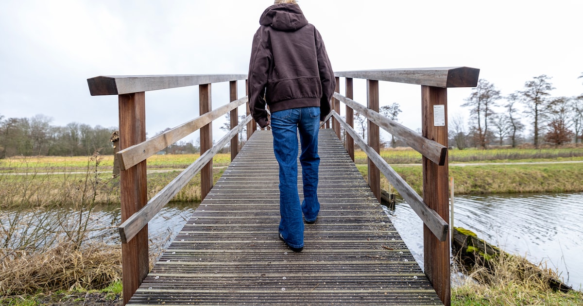 Deze nieuwe brug in Twente zorgt voor regen aan klachten: ‘Veel te ...