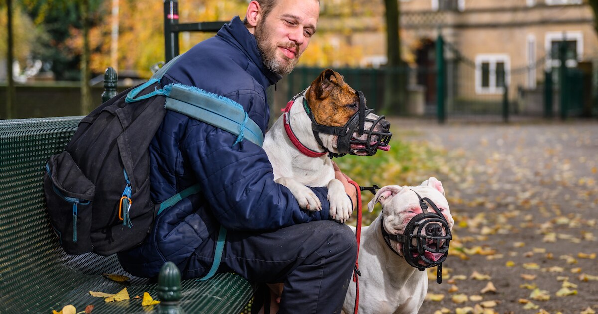 Louis is bang na zijn huis ook zijn honden kwijt te raken door ‘valse ...