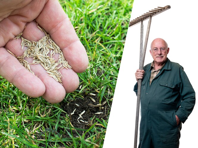 Nooit meer een saaie tuin, met deze tips creëer je een tuin met allure ...