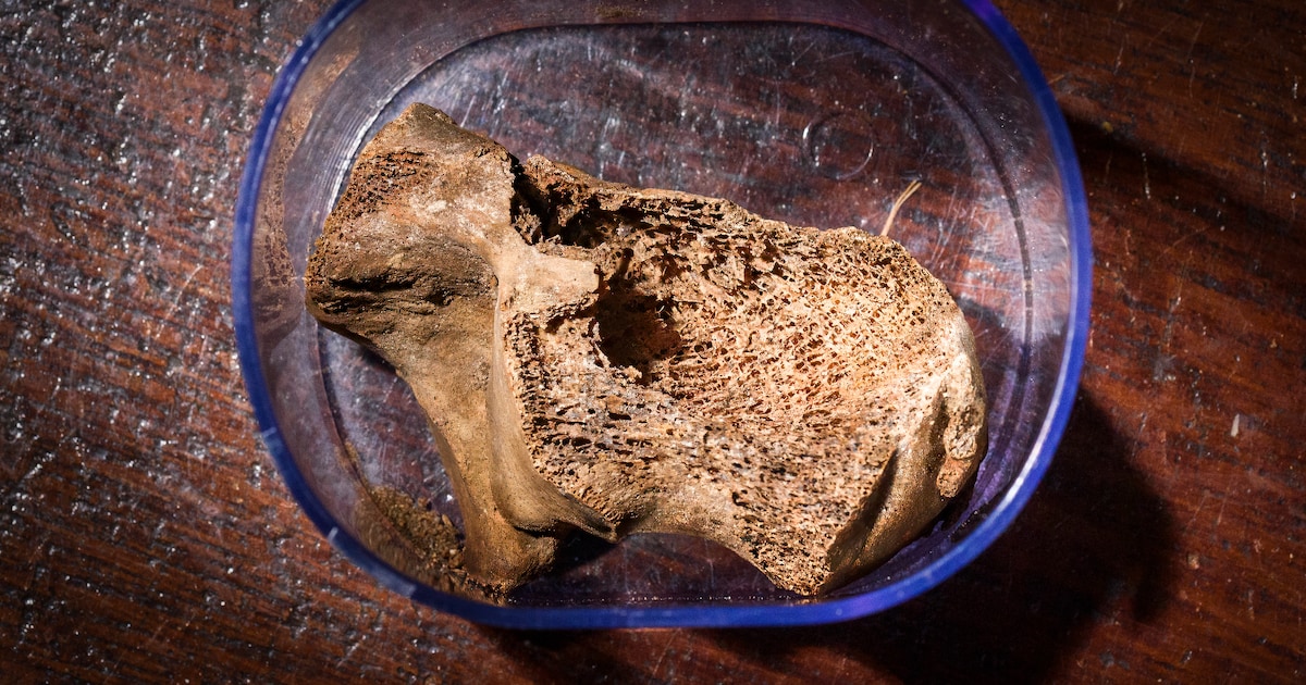 Veelbesproken bot uit Enschede is begraven, maar boze vinder eist het ...