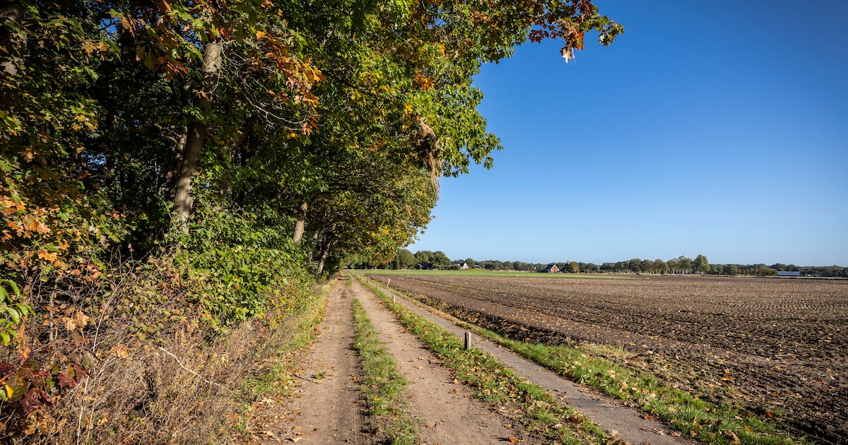 Nieuw landgoed tussen Albergen en Almelo toegankelijk voor publiek ...
