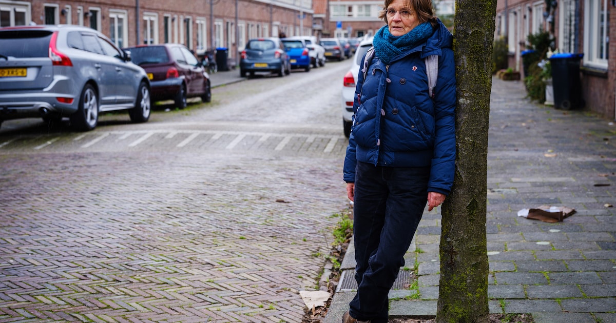 Buurten veel te heet zonder bomen: ‘Bewoners verdienen bescherming ...