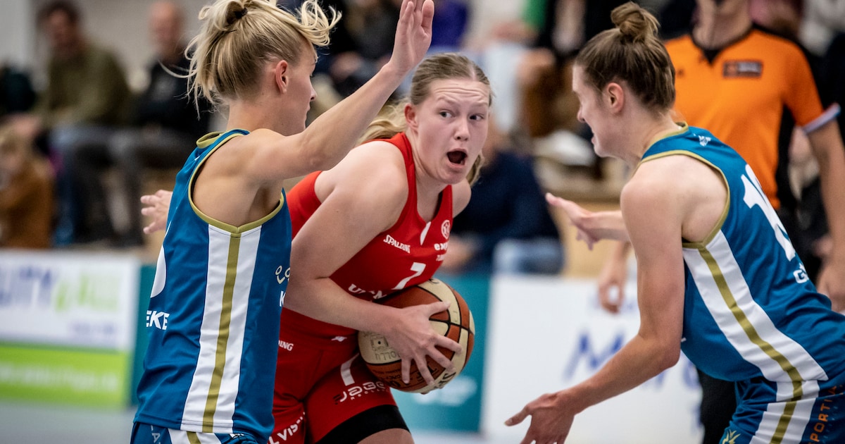 Basketbal: tweede aanwinst voor Jolly Jumpers, ook Kim Jaasma naar ...