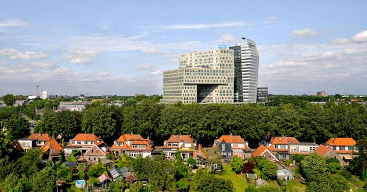 Festival De Stad Verbeeldt moet plotseling verder door Zwolle zwerven | Zwolle | Tubantia.nl