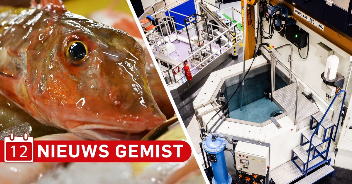 Gemist? Twentse viszaak weigert salaris te betalen & ‘vier plekken ...