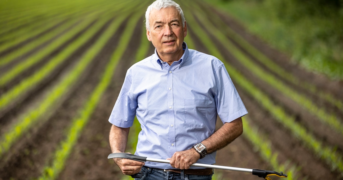 Geheim van oude speld uit Vasse eindelijk ontrafeld | Tubbergen ...