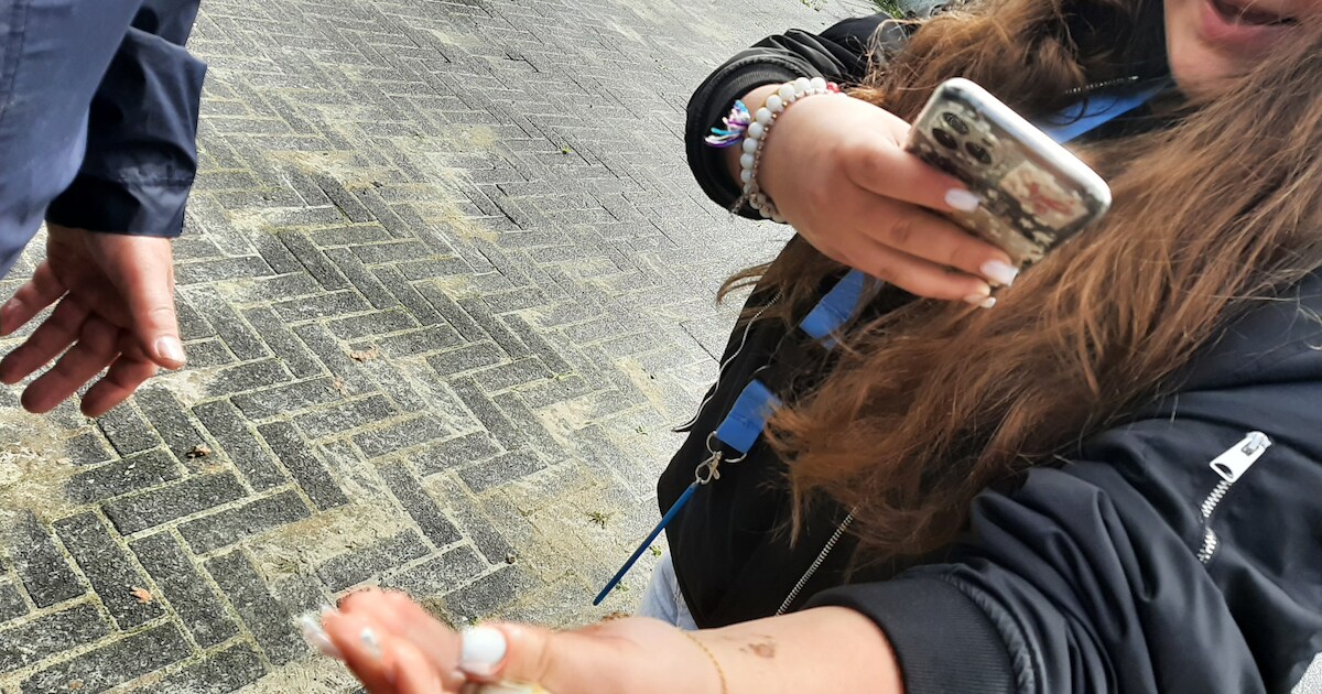 Stokje, snoertje, haakje en dan... Beet! Visles voor beginners | Almelo ...