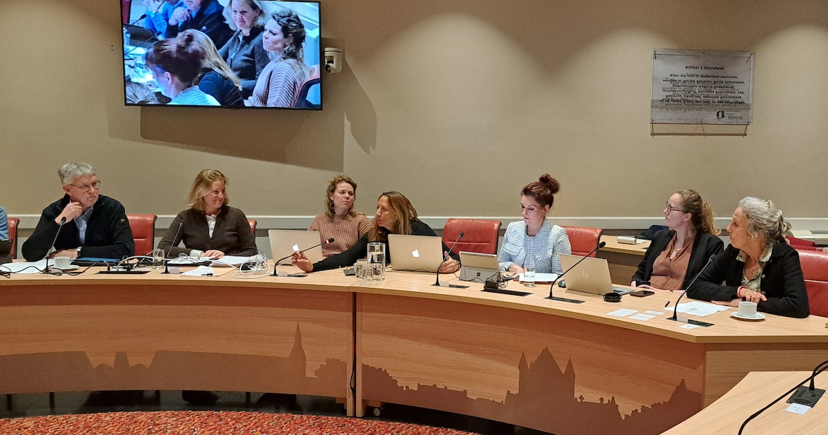 ‘Een diverse raad is beter’: partijen in Hattem zetten in op meer ...